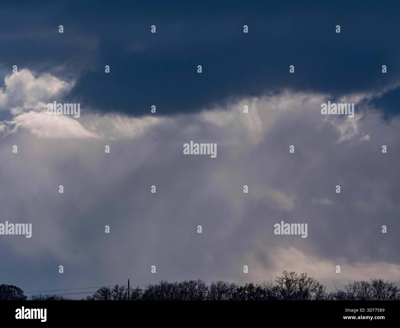 Sleet weather in Normandy, France on November 20, 2025. Photo by Mario ...