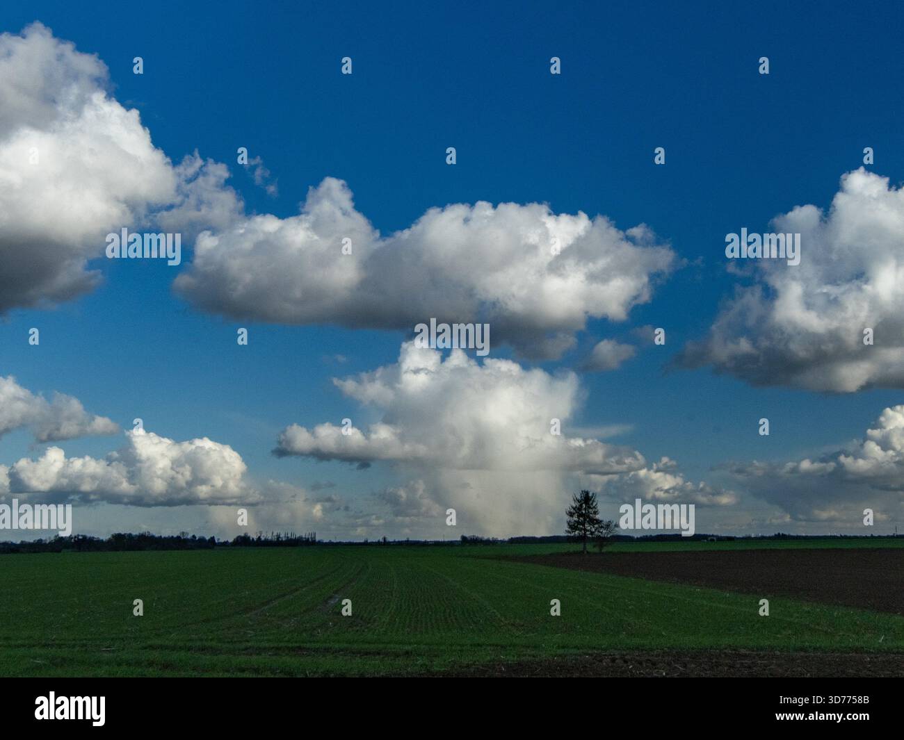 Sleet weather in Normandy, France on November 20, 2025. Photo by Mario ...