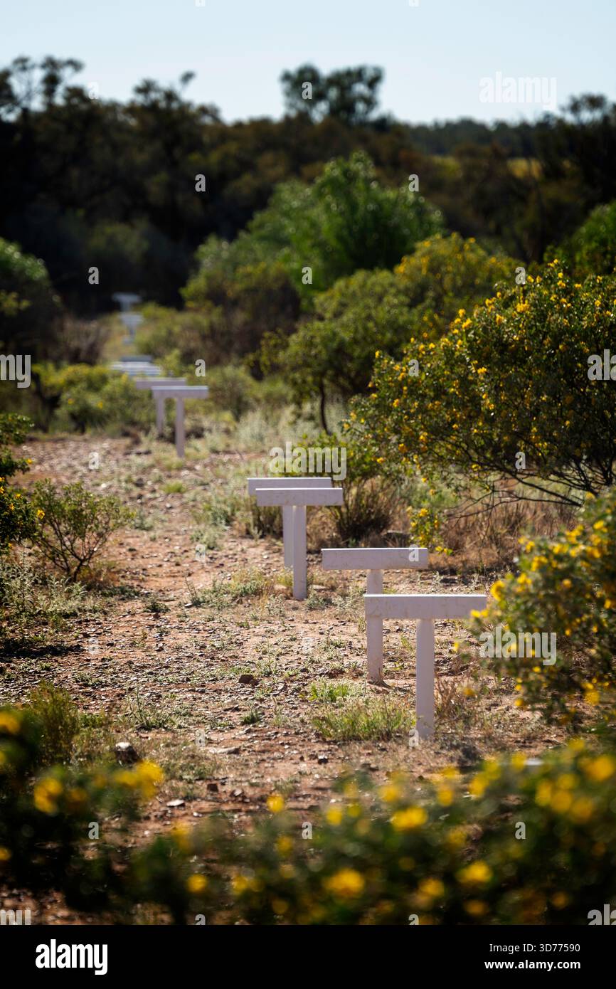 Flood markers on floodplain around Cooper's Creek, Windorah, Queensland ...