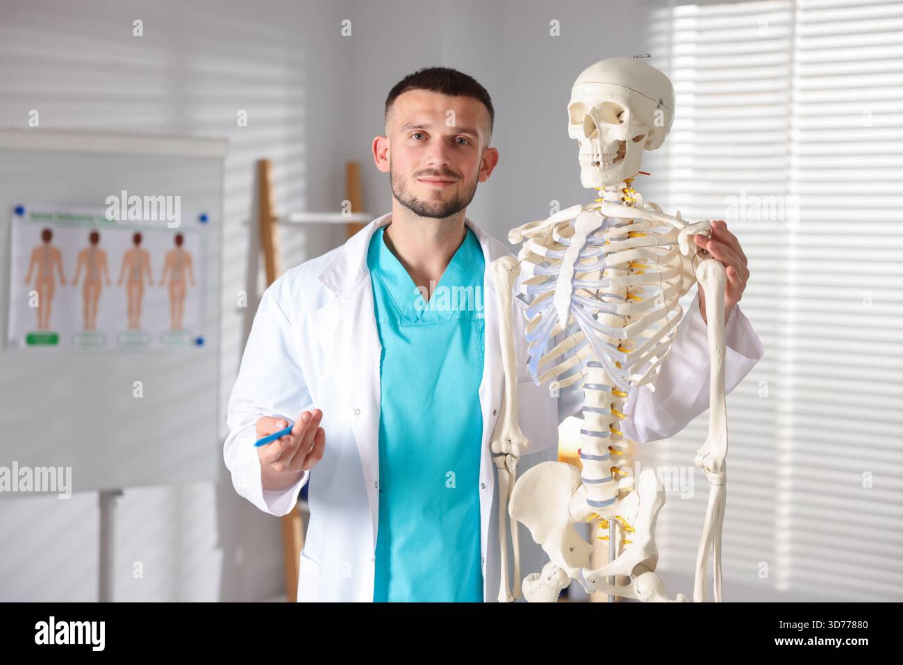 Doctor showing human skeleton model in hospital Stock Photo - Alamy