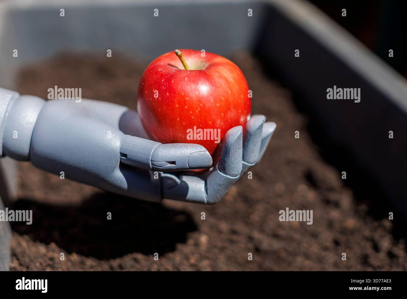 Robot hand holding apple hi-res stock photography and images - Alamy