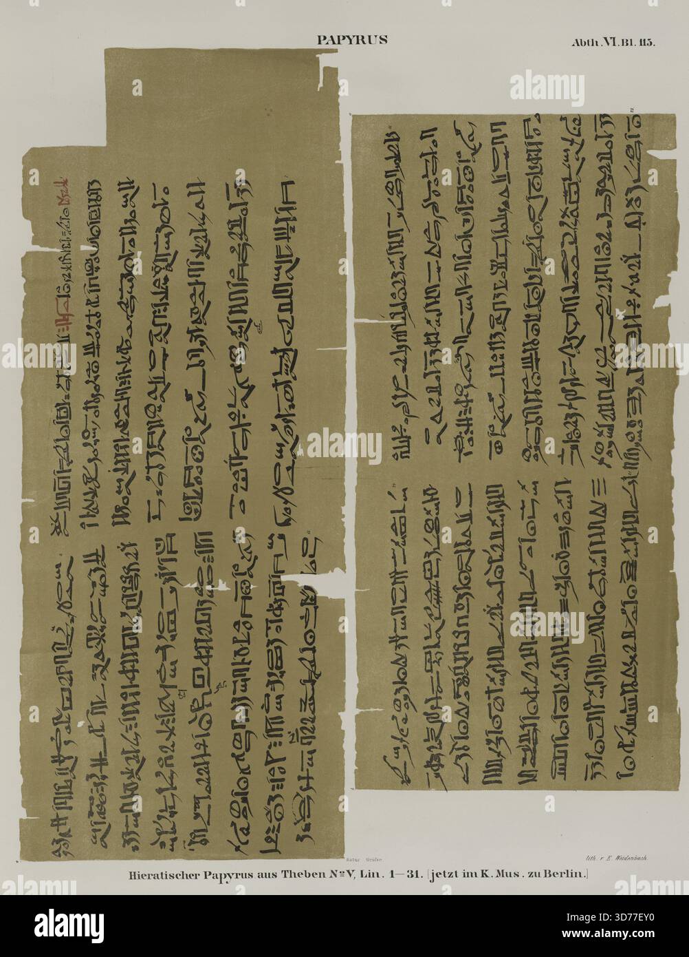 Hieratic papyrus from Thebes, No. V, lines 1-31, currently housed in ...