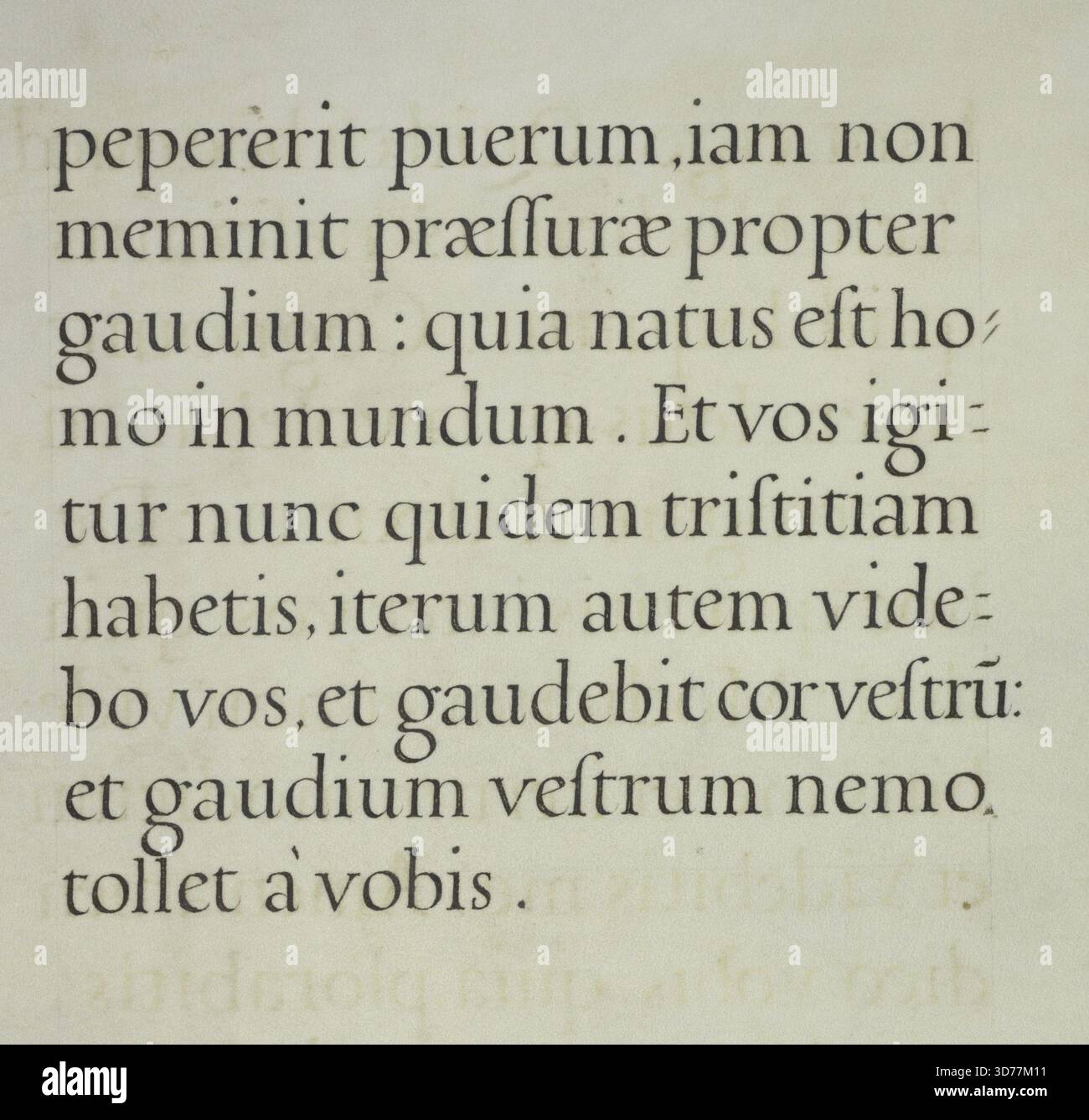 Towneley lectionary hi-res stock photography and images - Alamy