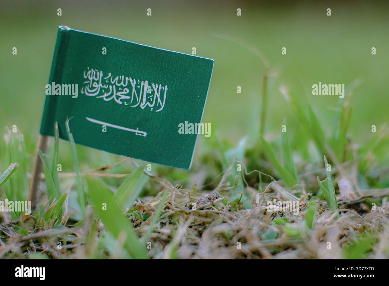 Green saudi initiative hi-res stock photography and images - Alamy