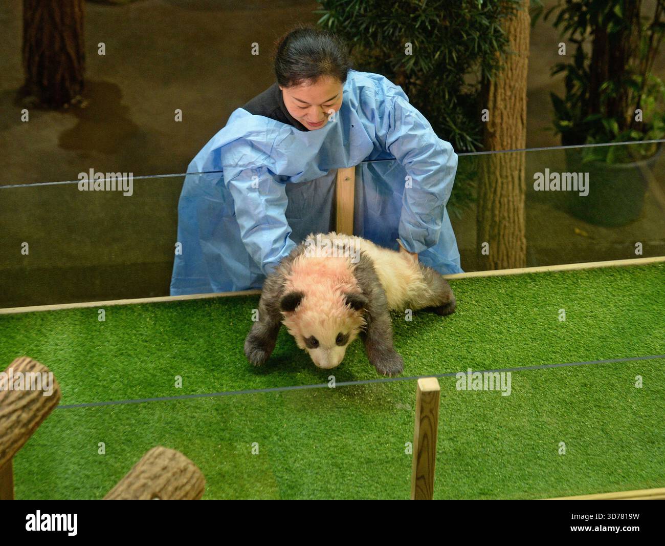 File photo - Huan Huan and Yuan Zi's baby was named Yuan Meng, which ...