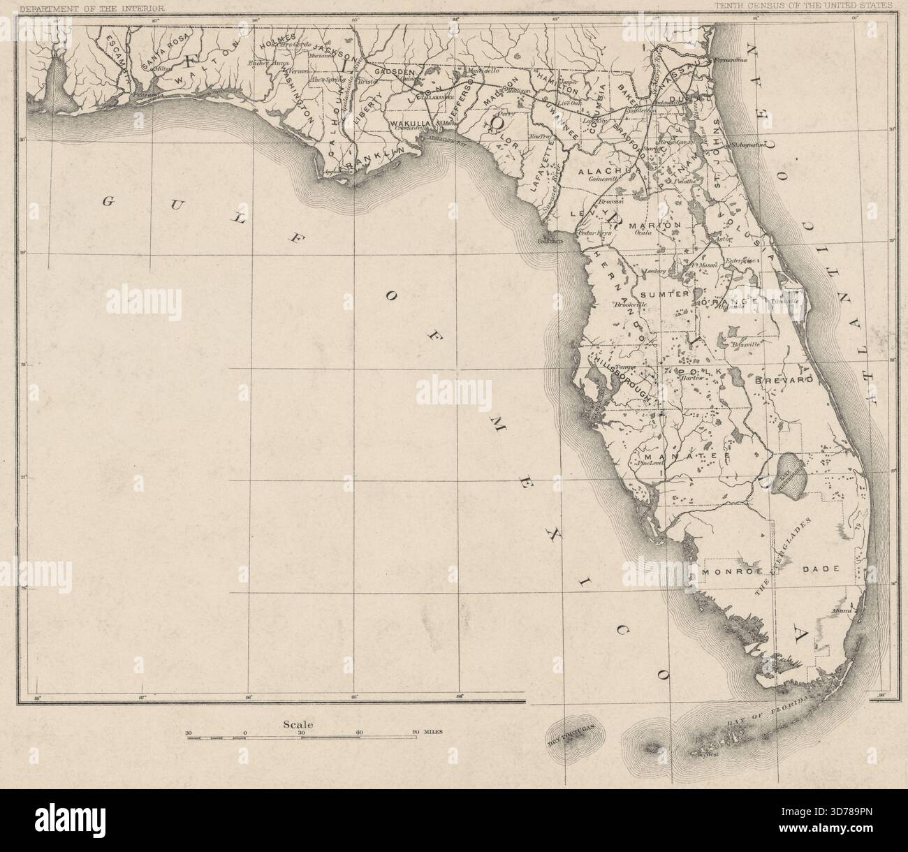 Cities and county map of the states of Florida, prepared for the 10th ...