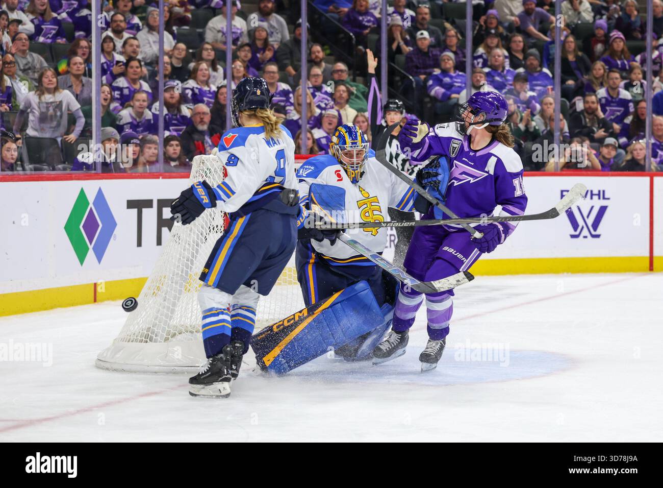 November 21st, 2025: Toronto Sceptres goaltender Raygan Kirk (1 ...