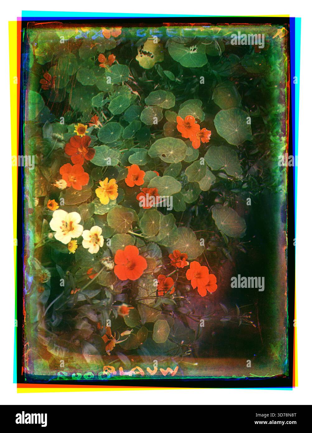 Fringing detail Cut Out Stock Images & Pictures - Alamy