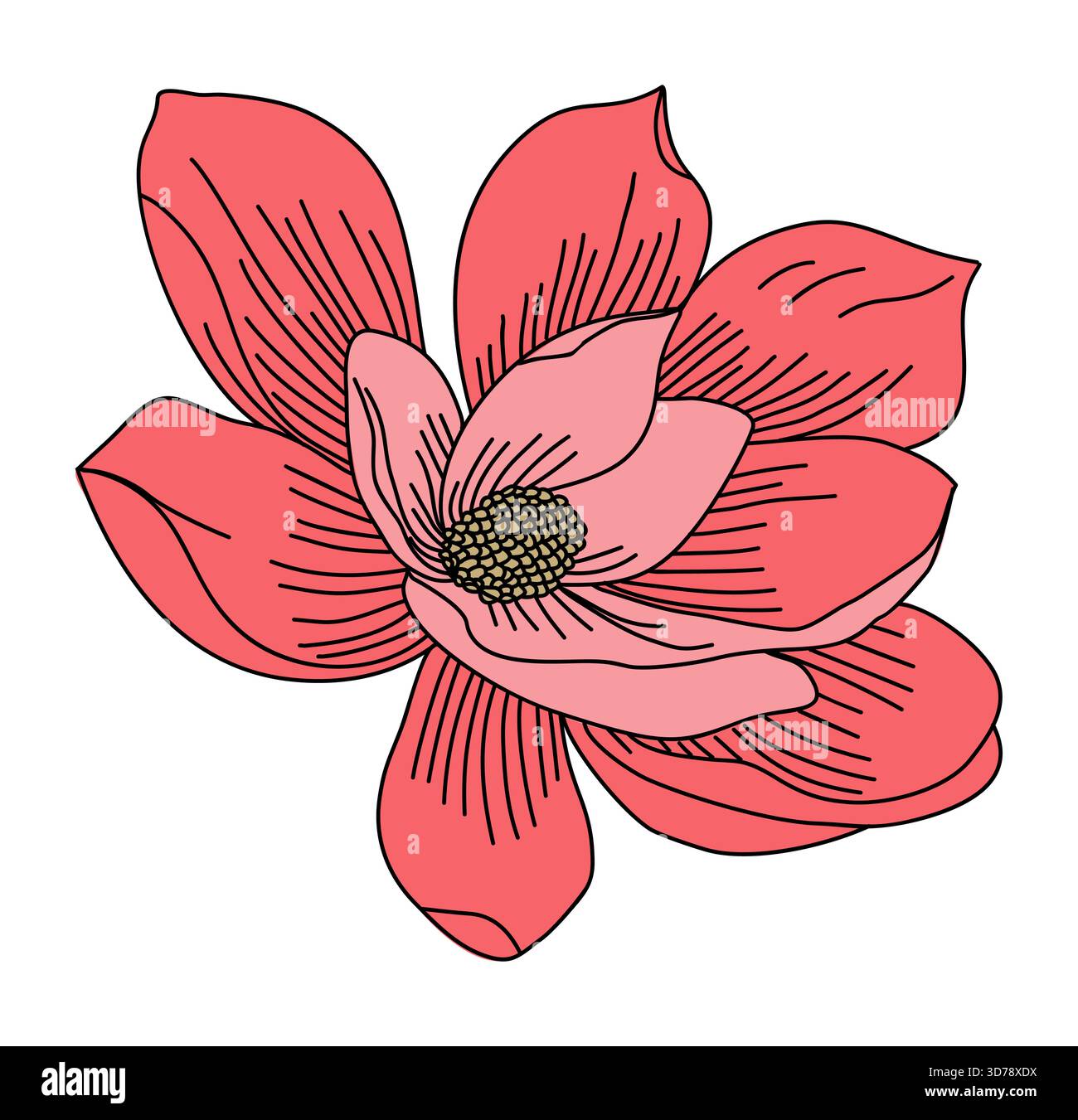 Coral blossom Stock Vector Images - Alamy