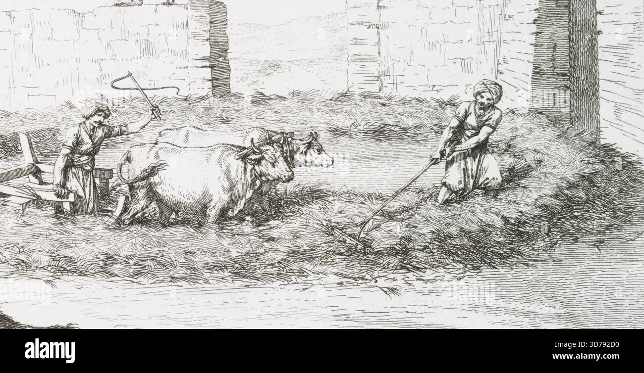 Engraving illustrating the methods of beating rice and how women carry ...
