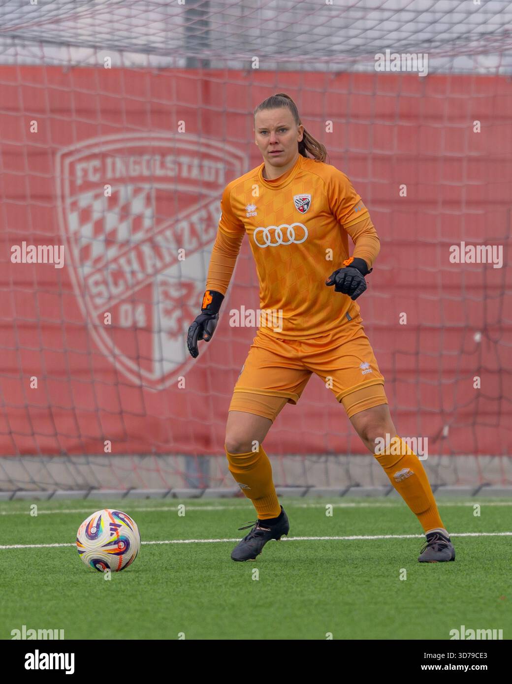 Ingolstadt, Germany November 23, 2025: 2. BL - Women - 2025/2026 - FC ...