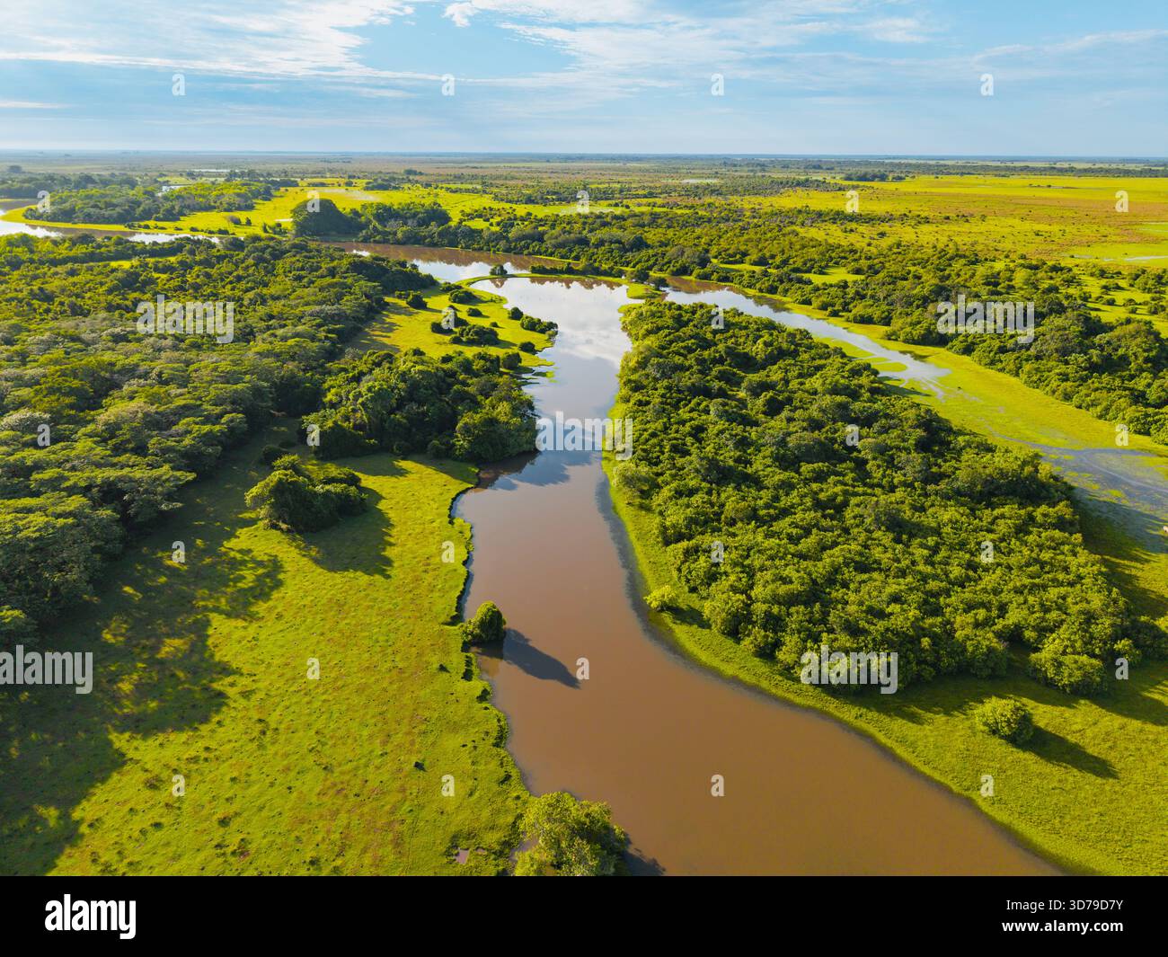 Aerial view of the serpentine river snaking through the vibrant green ...