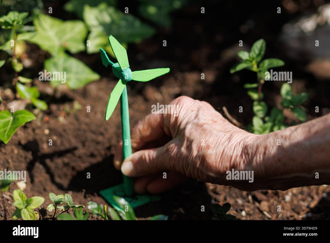 old hand planting a green wind turbine model in a garden to promote eco ...