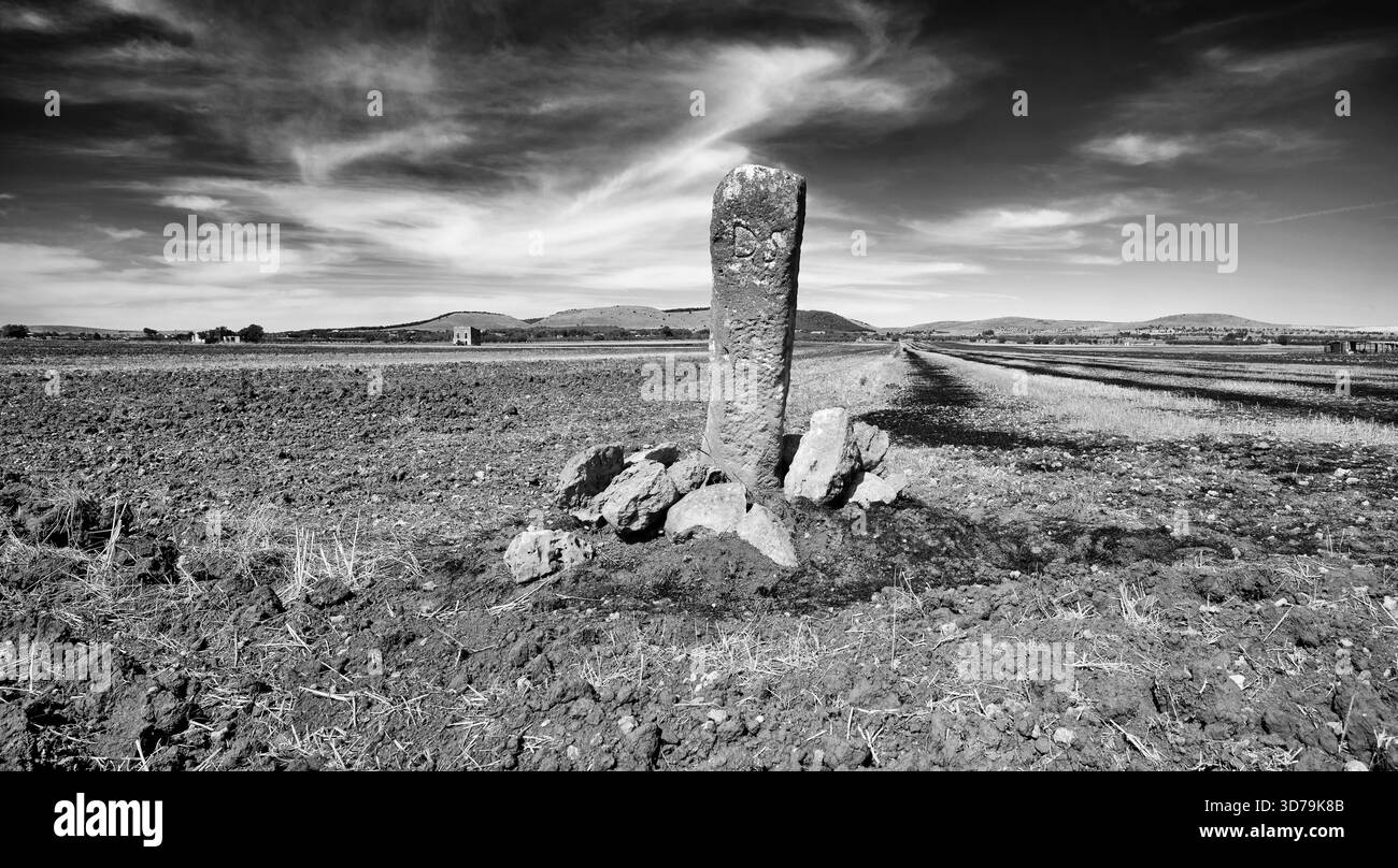 Altamura (Ba), Italy, a Roman era milestone in a field in the Alta ...