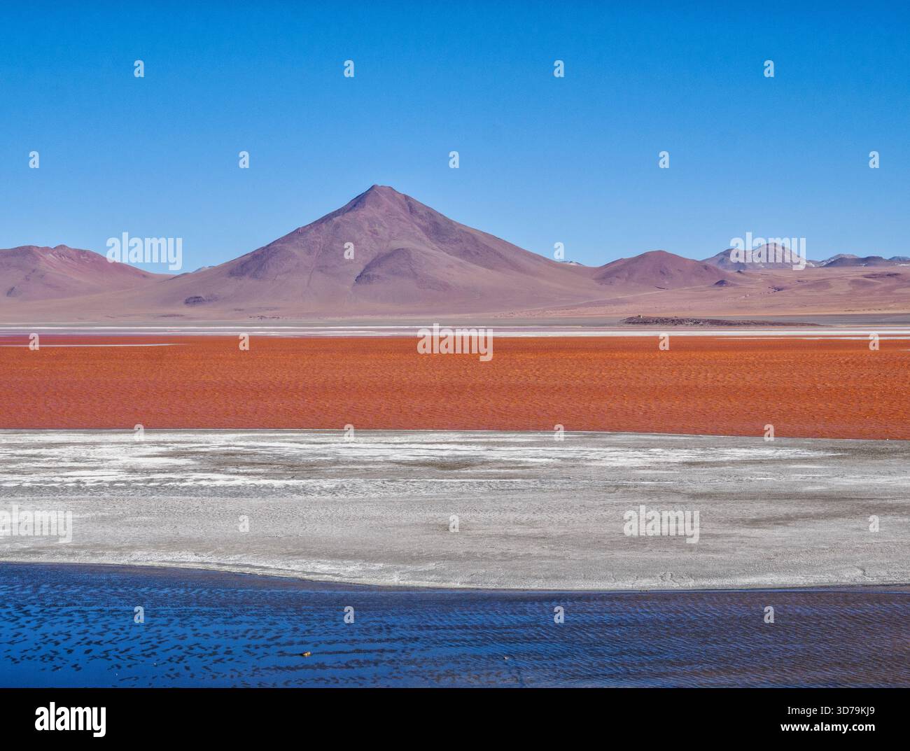 Laguna Colorado the Red Lagoon in the high Andes of Bolivia owes its ...