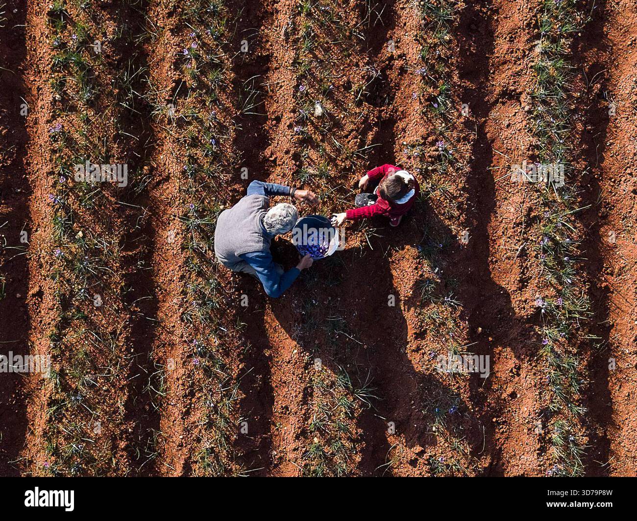 19 November 2024, Syria, Binnish: A picture made available on 23 ...