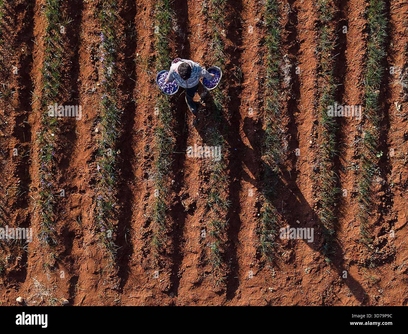 19 November 2024, Syria, Binnish: A picture made available on 23 ...