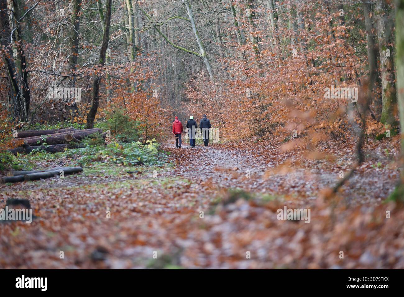 Hiking trail walkers in hi-res stock photography and images - Alamy