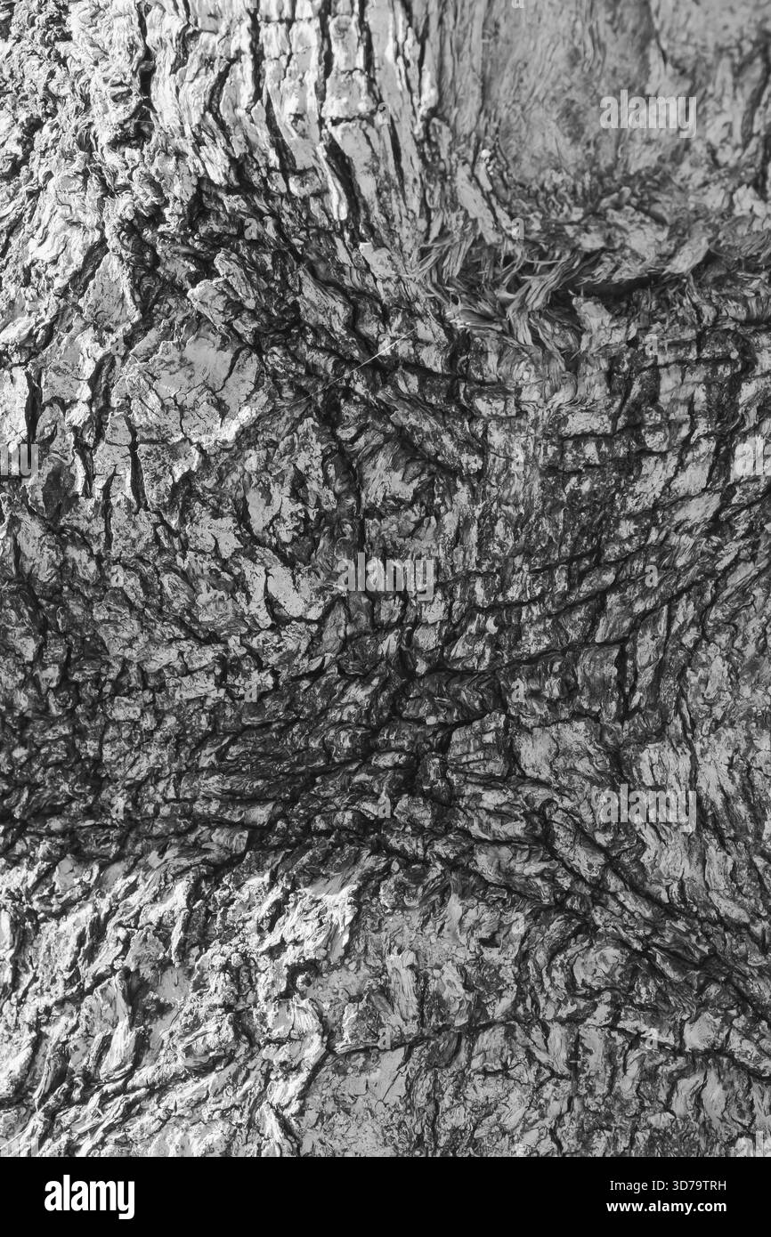 Intricate wood patterns Black and White Stock Photos & Images - Alamy