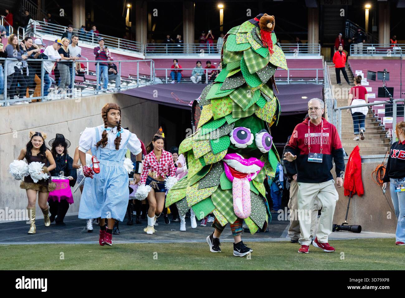 PALO ALTO, CA - NOVEMBER 22: The Stanford Cardinal mascot, the Stanford ...