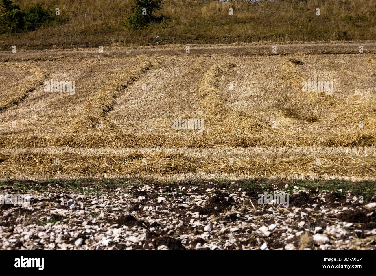 Abstract, linear composition of different soil types and crops ...