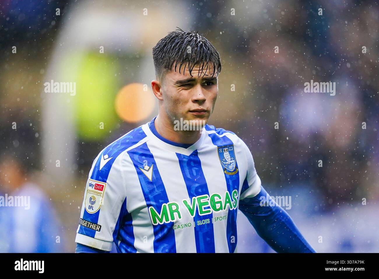 Sheffield Wednesday defender Harry Amass (12) during the Sheffield ...