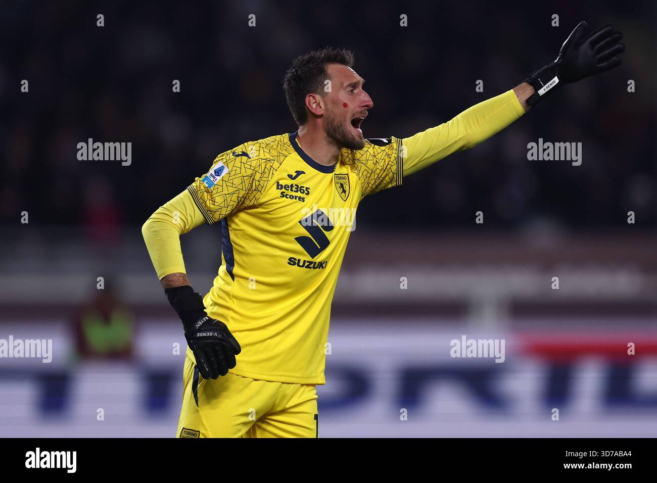 Alberto Paleari of Torino Fc gestures during the Serie A match beetween ...