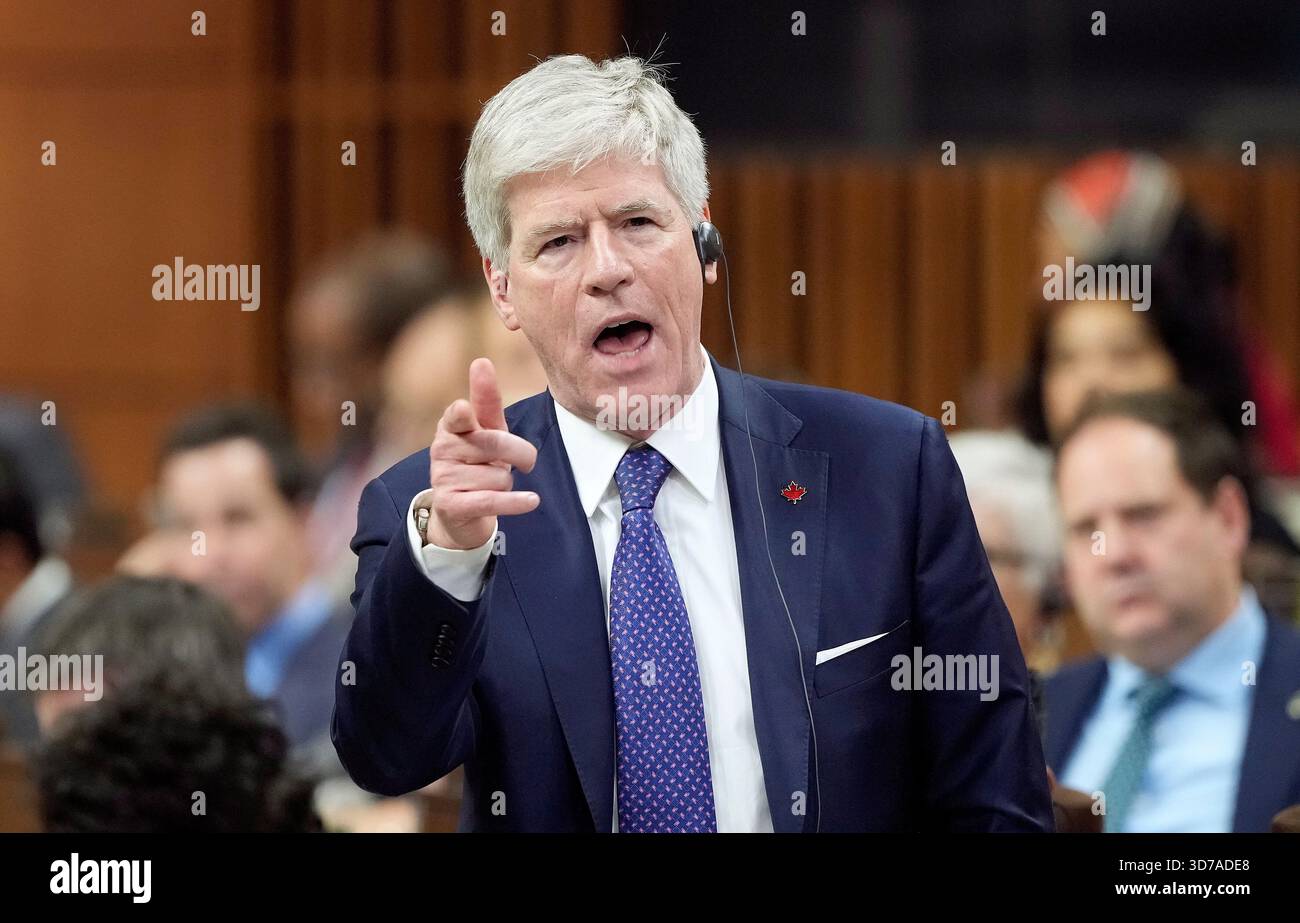 Minister of Energy and Natural Resources Tim Hodgson rises during ...