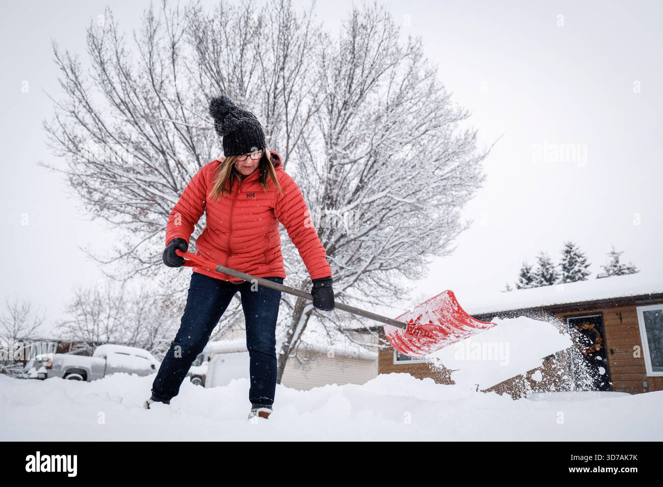 Karen O'Connor shovels snow from her sidewalk in Cremona, Alta., Monday ...