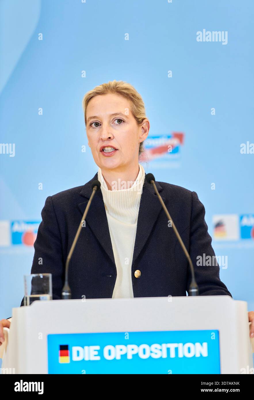 Alice Weidel EUR, Deutschland, Berlin, 24.11.2025: Pressestatement von ...