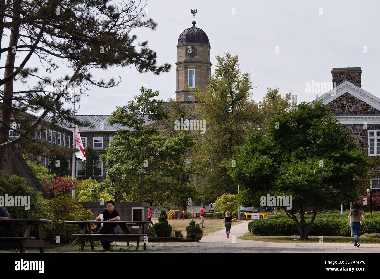 The Henry Hicks Building, which has loomed over Dalhousie University ...
