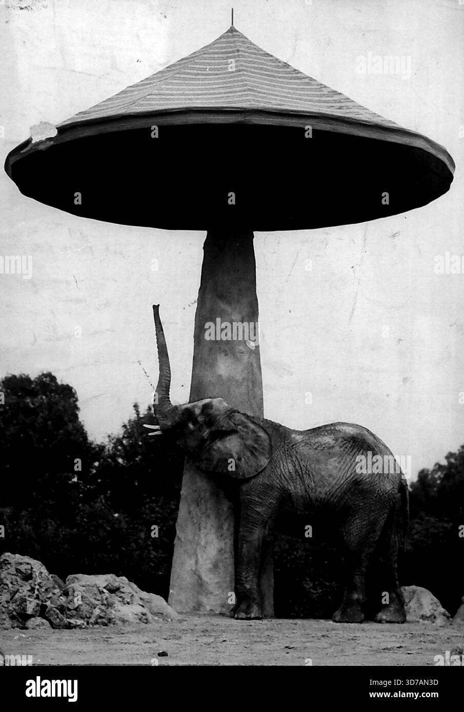 In a Shady Nook : Like a gargantuan design for a garden ornament isn't ...