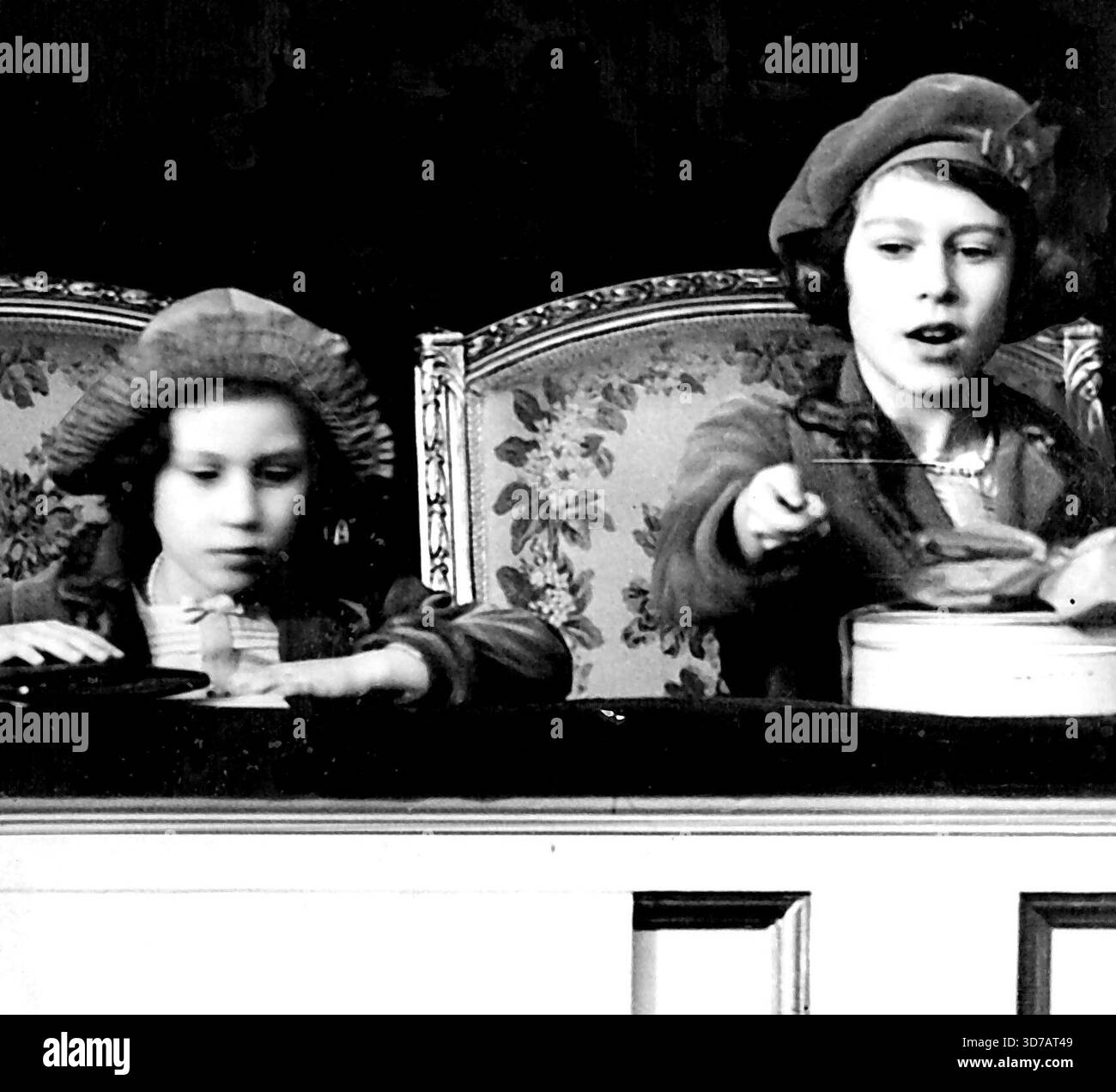 Majesty rose Black and White Stock Photos & Images - Alamy