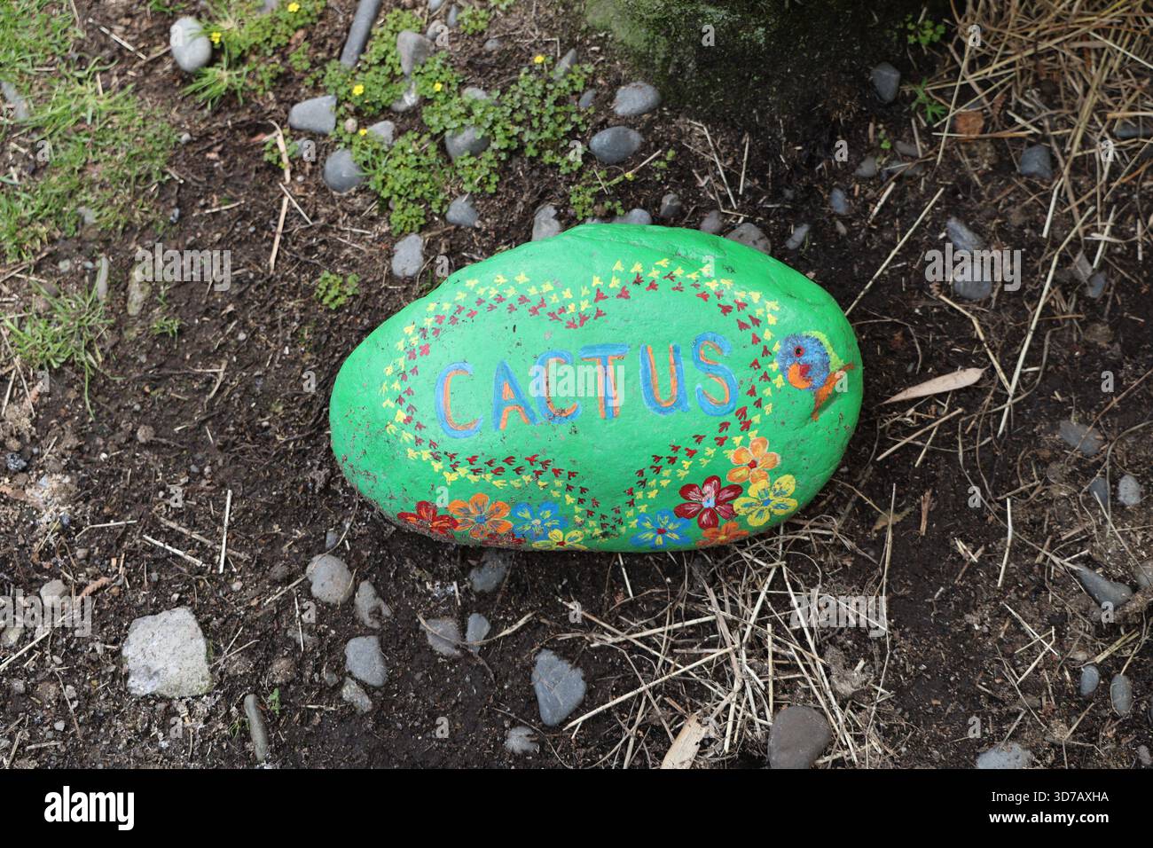 Floral label design hi-res stock photography and images - Alamy