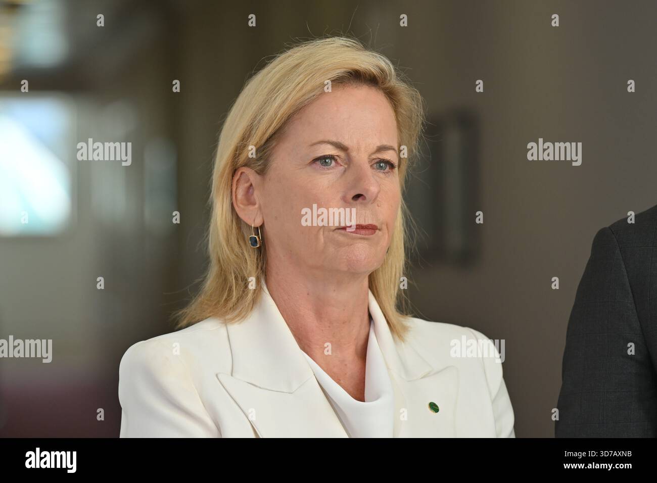 Shadow Minister for the Environment Angie Bell speaks to journalists in ...