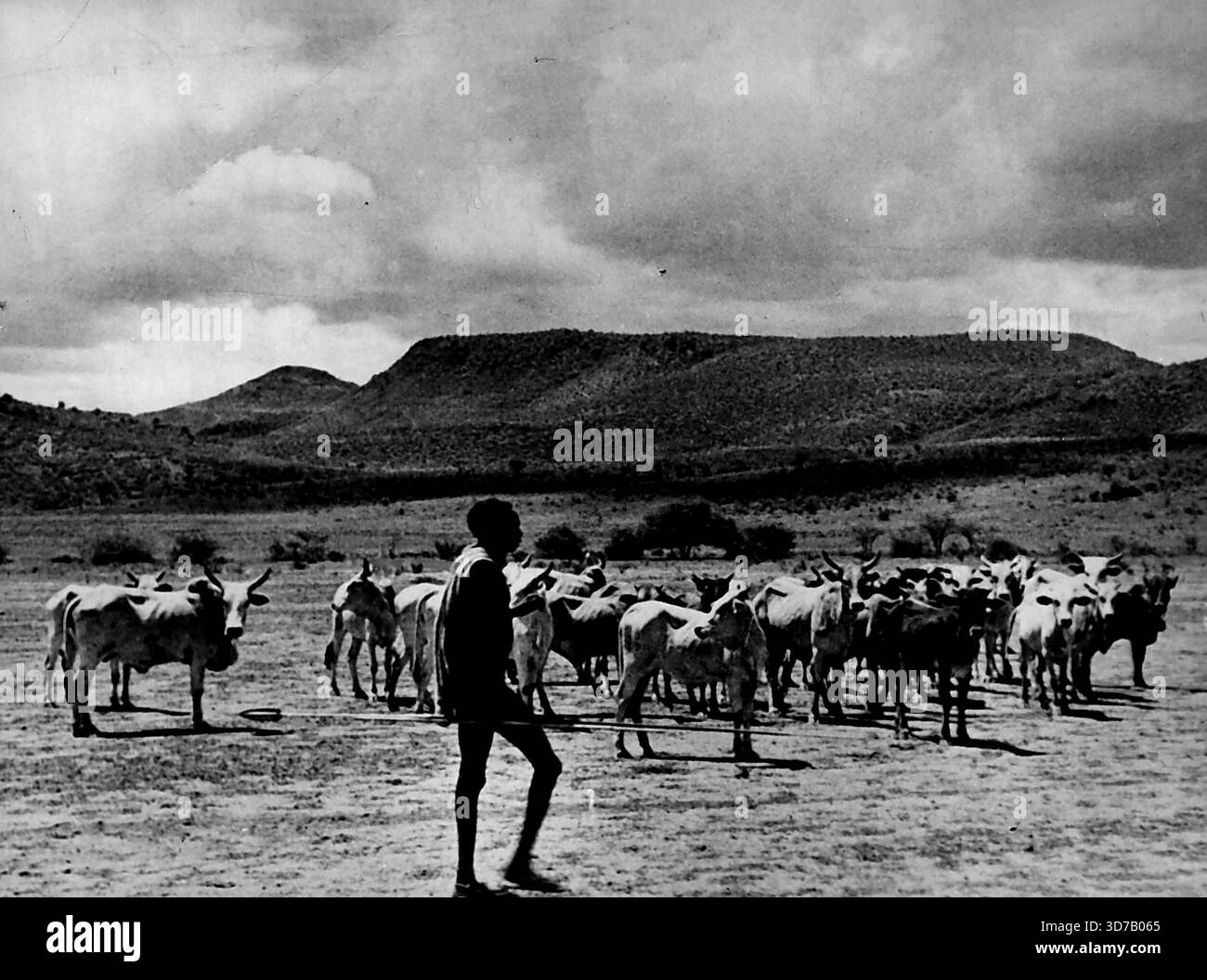 Primitive land Black and White Stock Photos & Images - Alamy