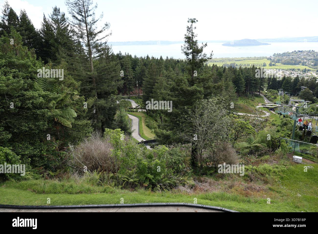 Winding Path Through Dense Forest Hillside Landscape Stock Photo - Alamy