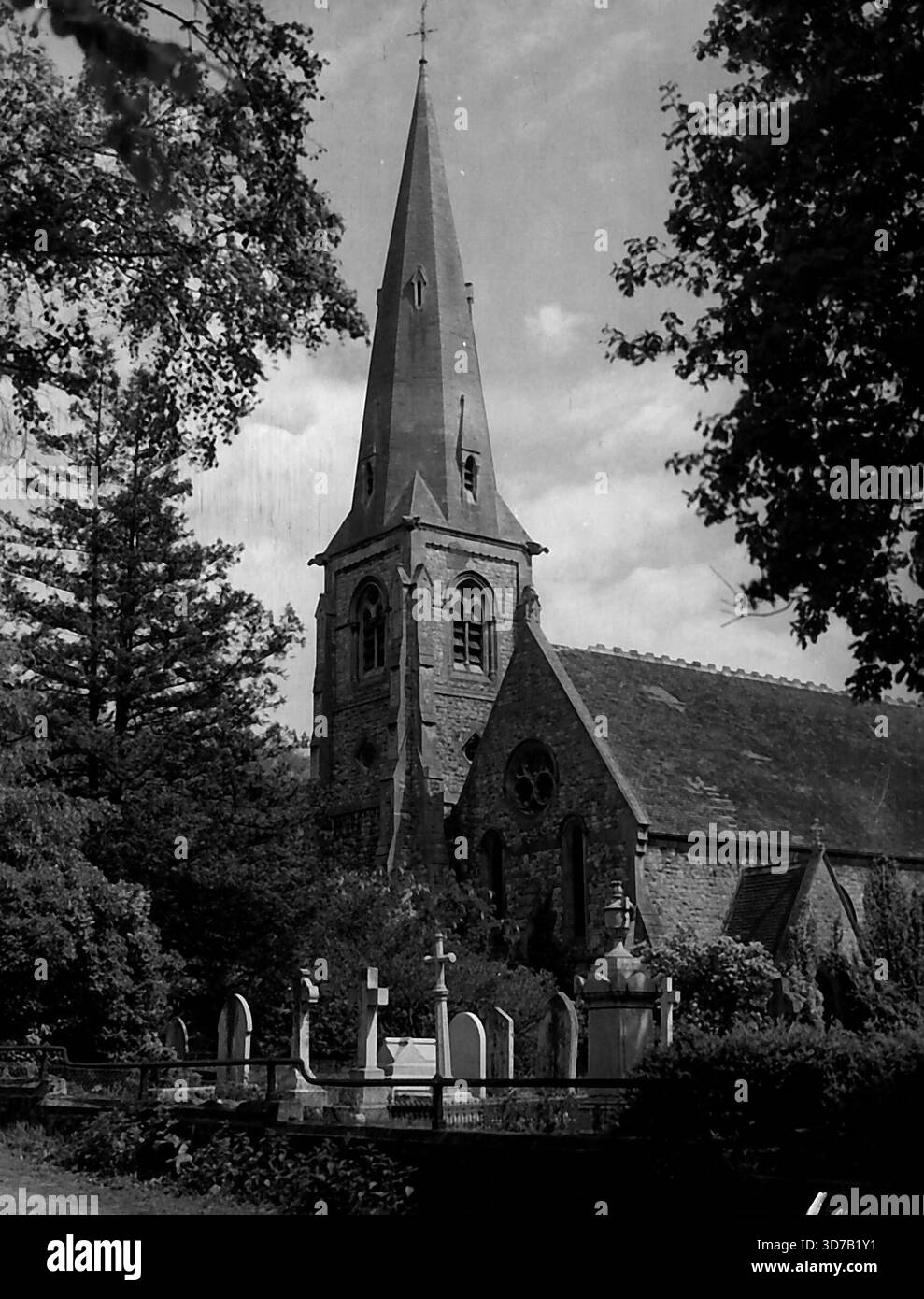Forest from up high Black and White Stock Photos & Images - Alamy