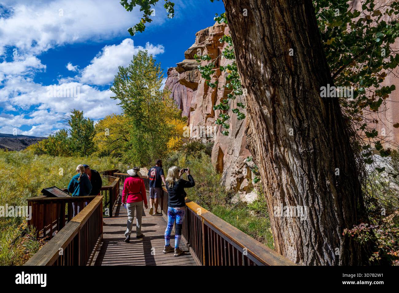 People on a boardwalk looking at ancient petroglyphs, which are ...