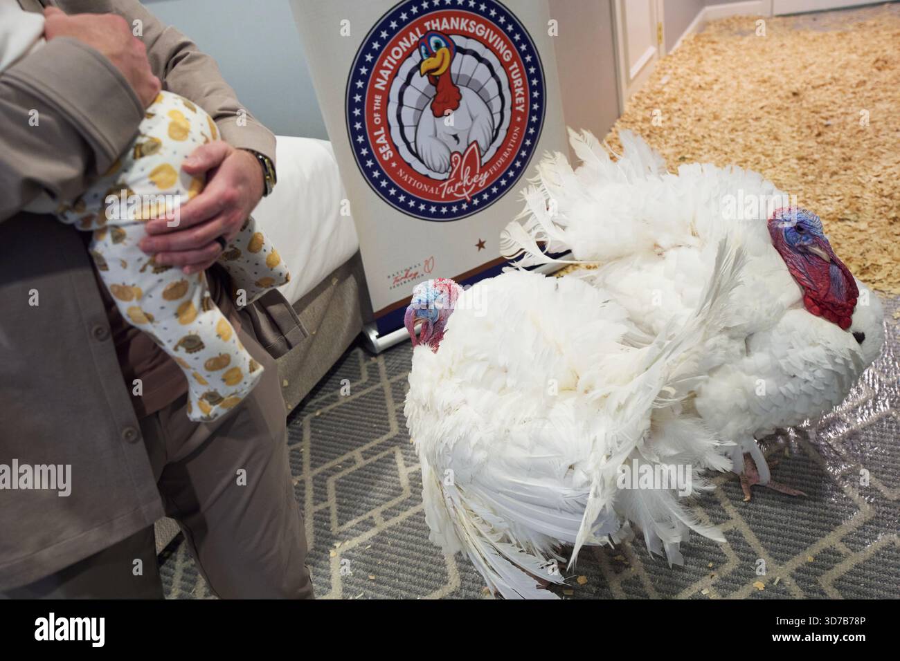 Turkeys Waddle and Gobble, who will receive a Presidential Pardon at ...