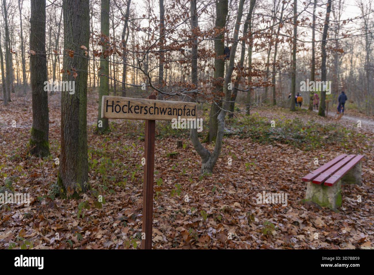 The funeral forest in Coswig is called Naturruhe Friedewald and is a ...