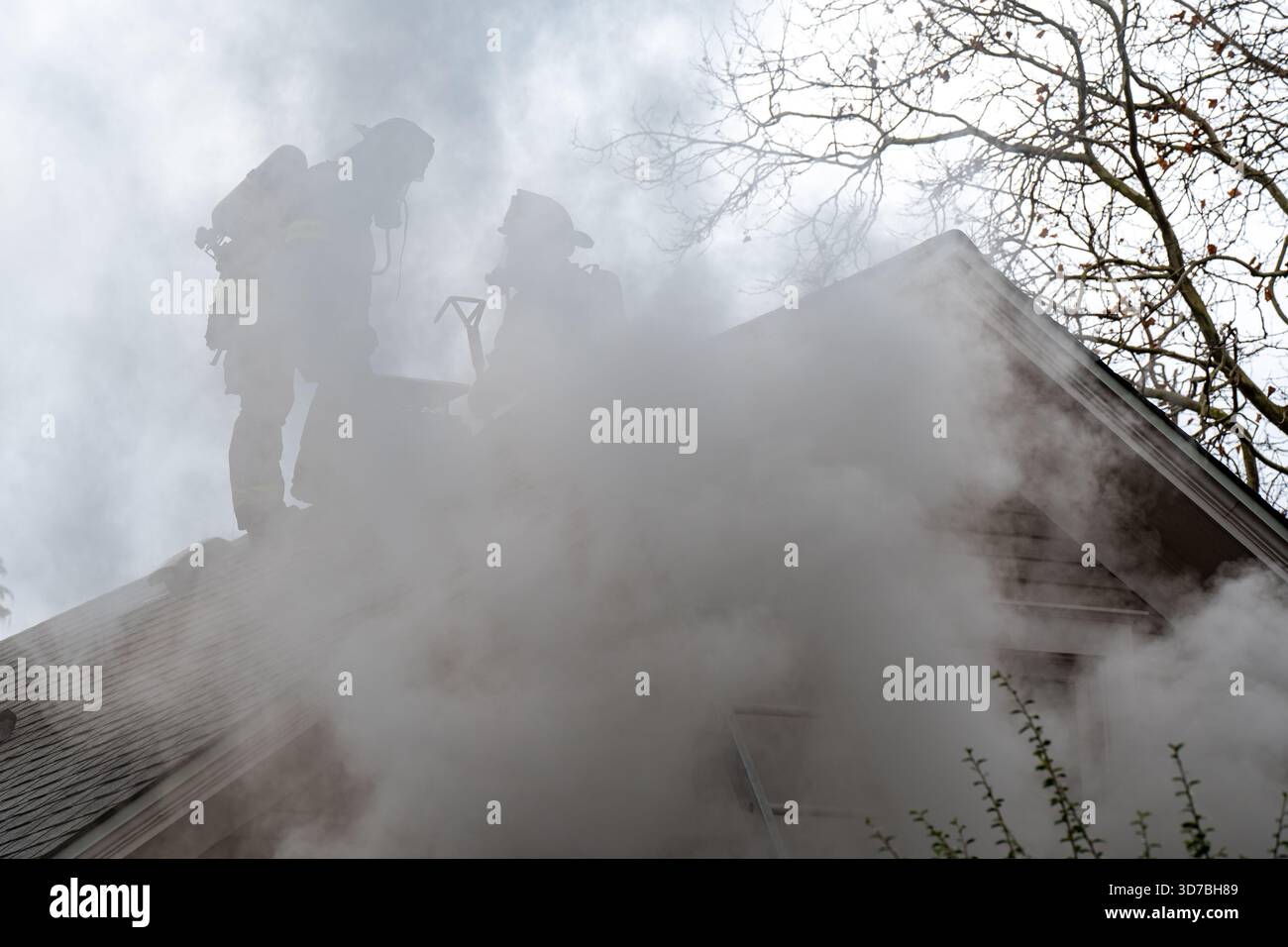 Seattle, USA. 24th Nov, 2025. Seattle Fire Department live fire ...