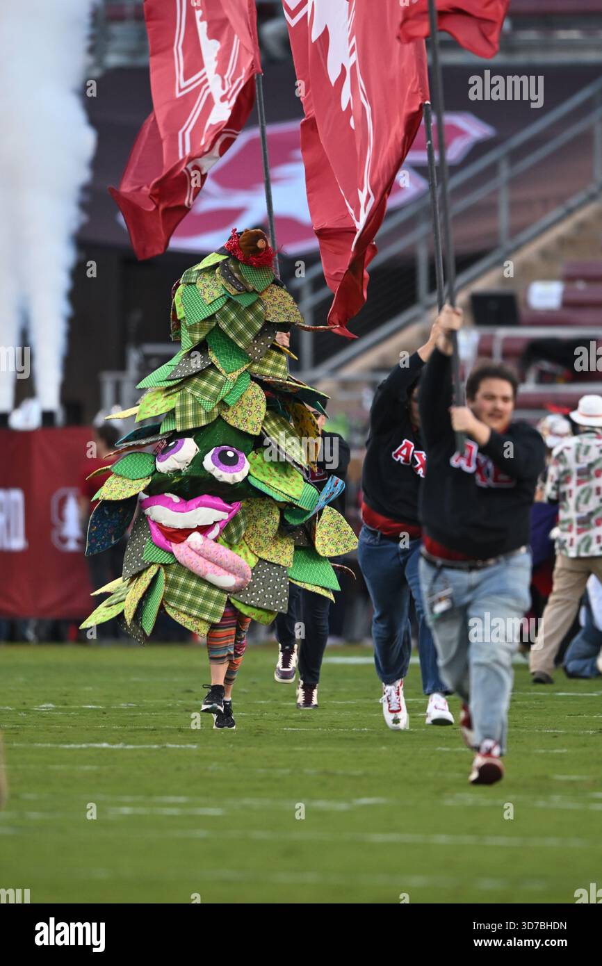 PALO ALTO, CA - NOVEMBER 22: The Stanford Tree band mascot runs on ...