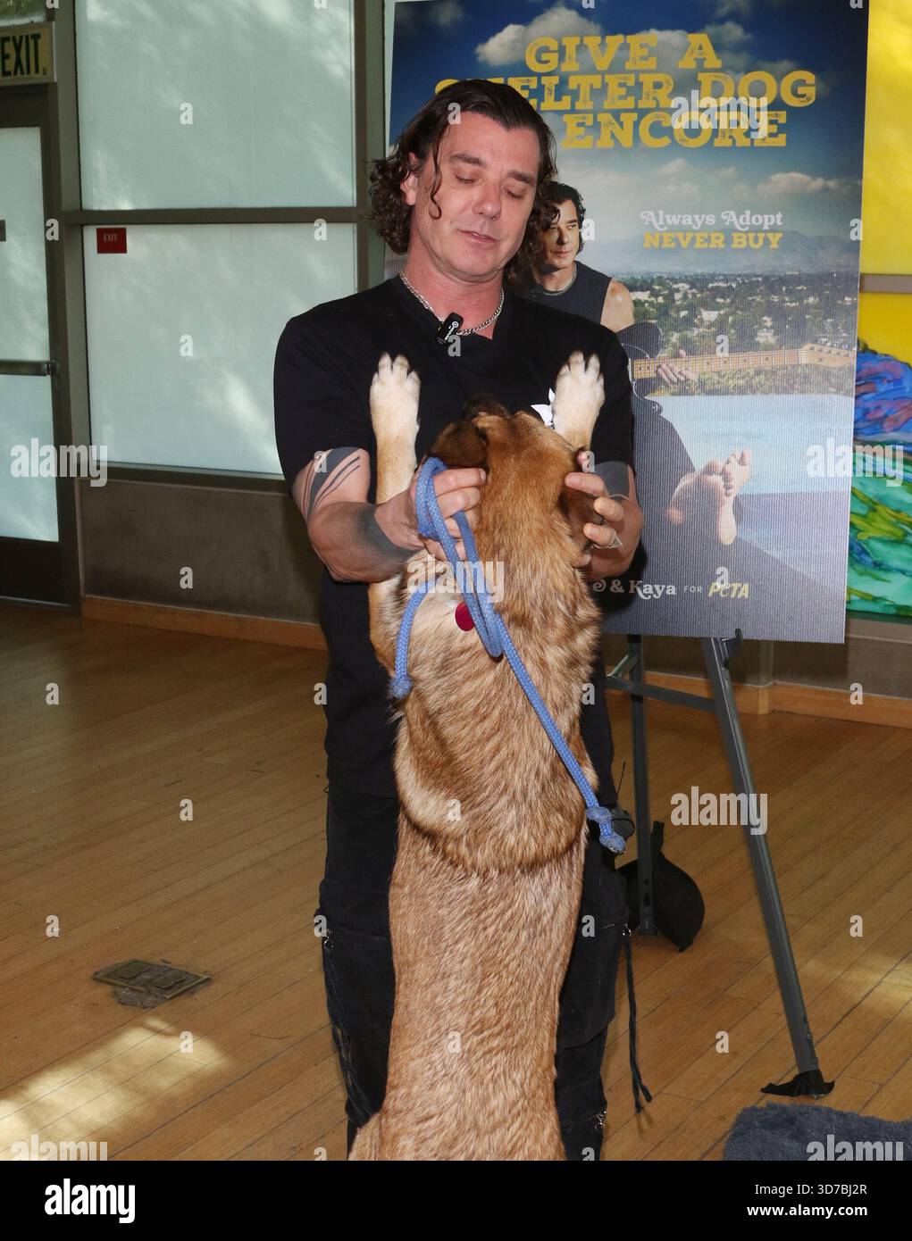 Photo by: gotpap/STAR MAX/IPx 2025 11/24/25 Gavin Rossdale gives thanks ...