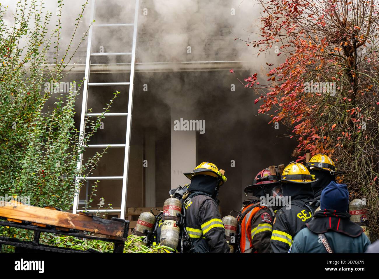 Seattle, USA. 24th Nov, 2025. Seattle Fire Department live fire ...