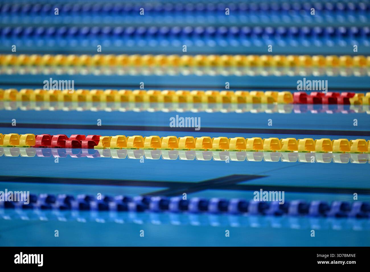 General view, NOVEMBER 22, 2025 - Swimming : Men's 100m Freestyle Heat ...