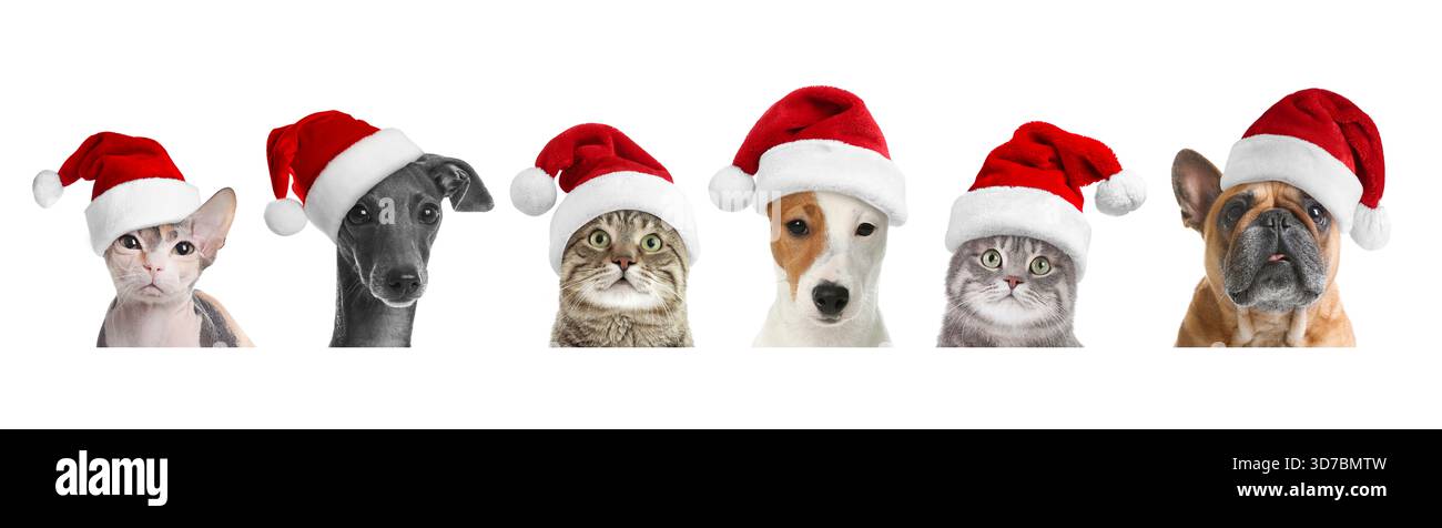 Adorable baby in santa Cut Out Stock Images & Pictures - Alamy