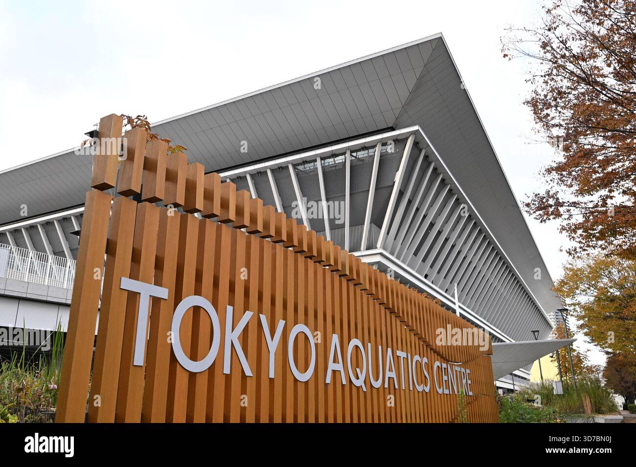 General view, NOVEMBER 22, 2025 - Swimming : Men's 100m Freestyle Heat ...