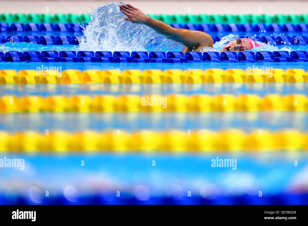 Anastasiia Dytiatkova (UKR), NOVEMBER 21, 2025 - Swimming : Women's 1500m Freestyle Heat during ...