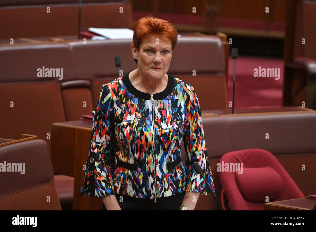 One Nation Leader Pauline Hanson and her senators in the Senate chamber ...
